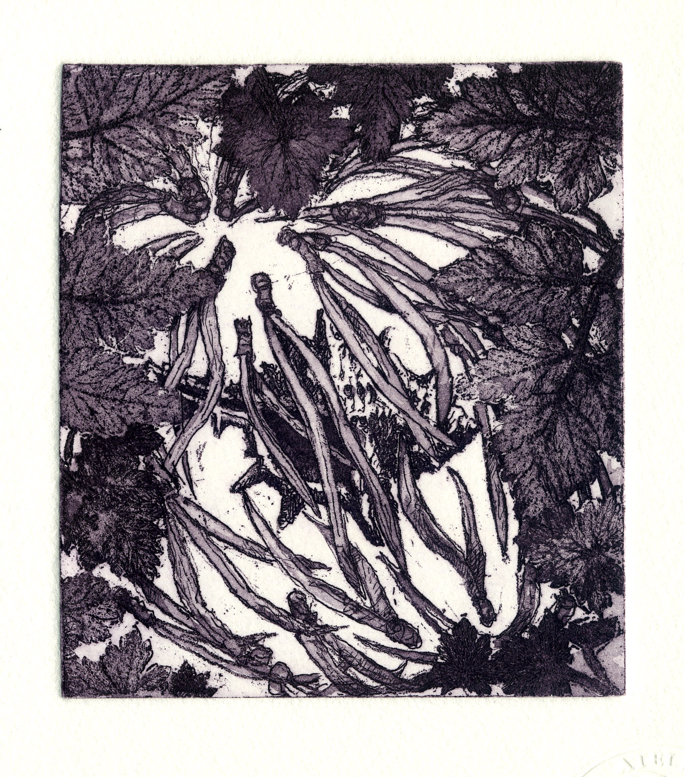 cosmo 13 – La Morserie